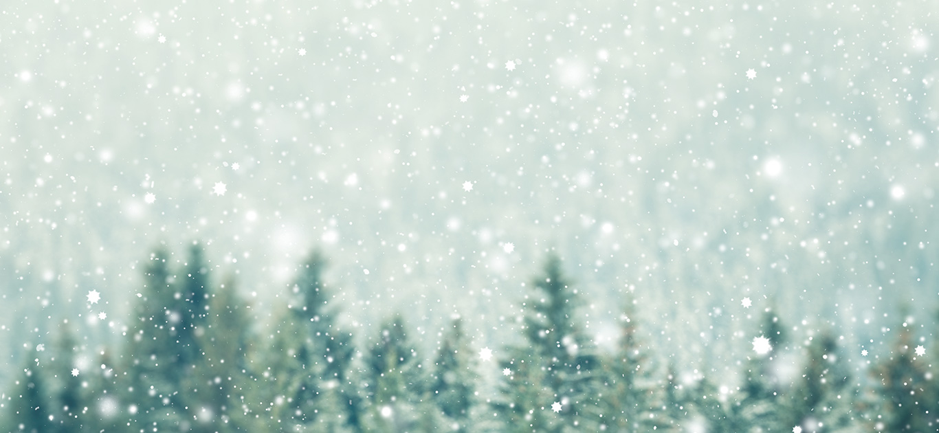 Home | Alex Min and Tom Zikas of Homes at Lake Tahoe